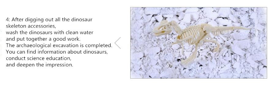 product-image-710234496_1200x1200.jpg?v=1572409672